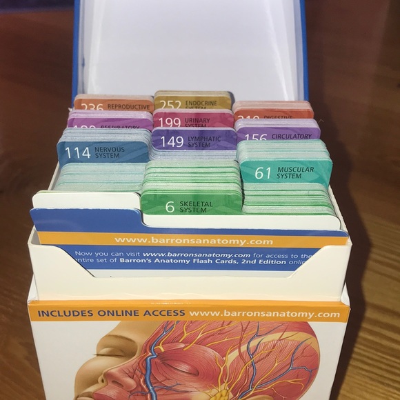 Barron’S | Other | Barrons Anatomy Flashcards | Poshmark